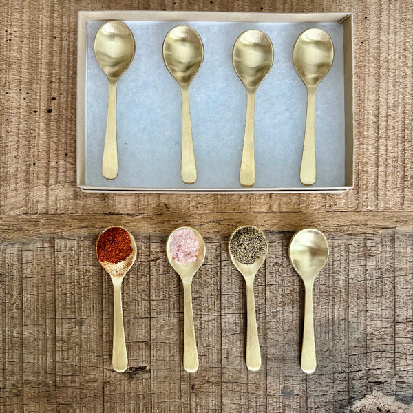 Handmade Solid Brass Spice Spoons-Set of 4 - DaVallia